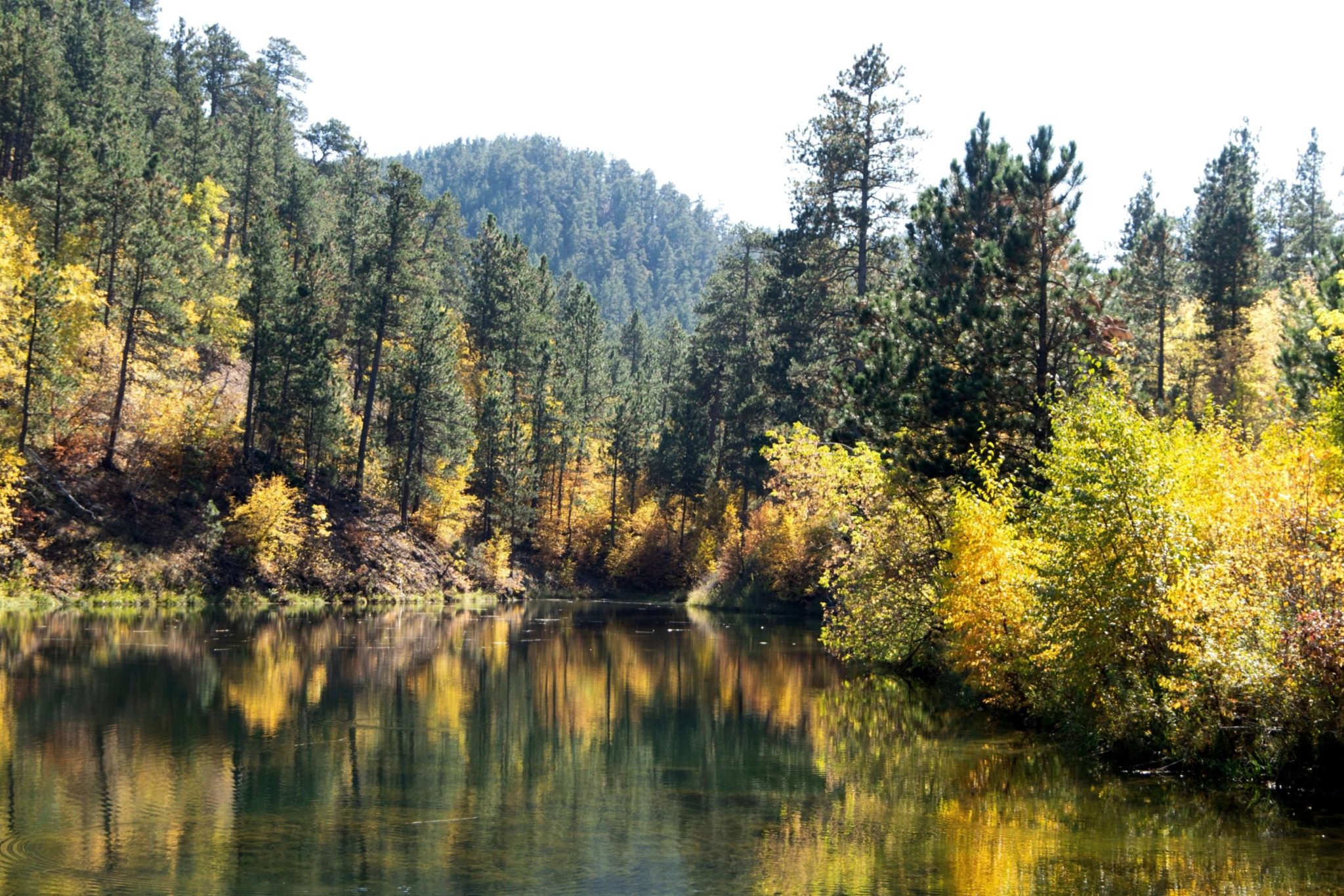 Leaf Peeping Guide To A South Dakota Fall Vacation - Rushmore Express Inn